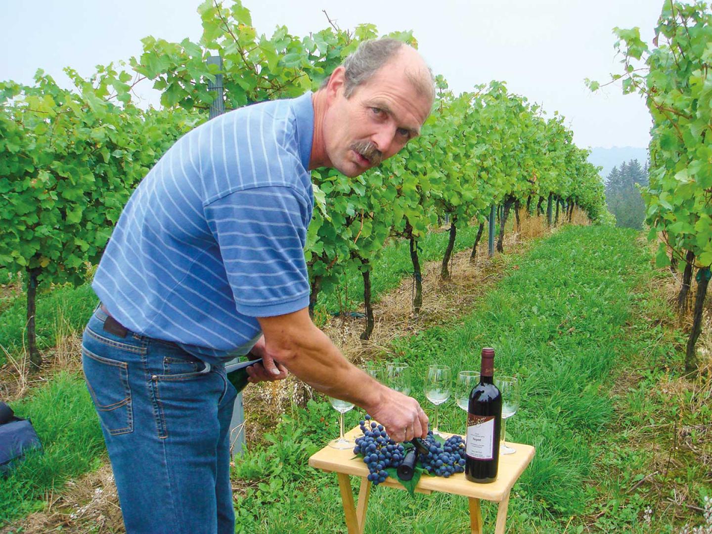 Weingut Stephan Seeliger in Saale-Unstrut - einzigartig faszinierend